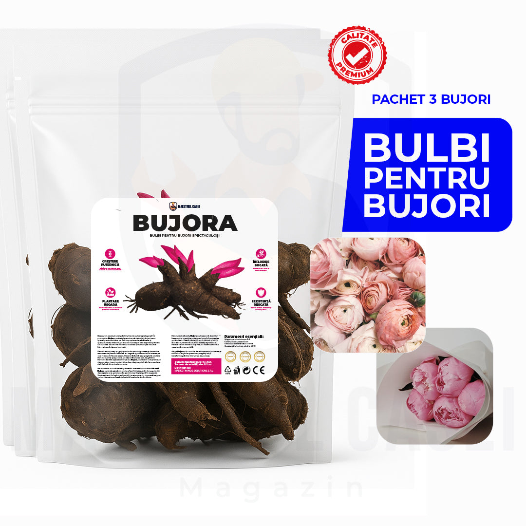 BUJORA – 3 Bulbi Premium de Bujori – Maestrul Casei