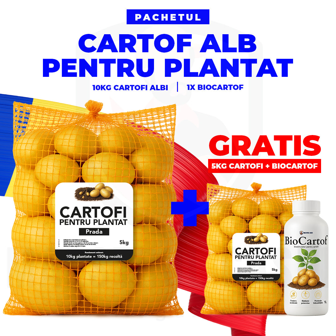 Pachetul Cartof Alb pentru Plantat – Recoltă bogată și sigură | 5+5 kg ...
